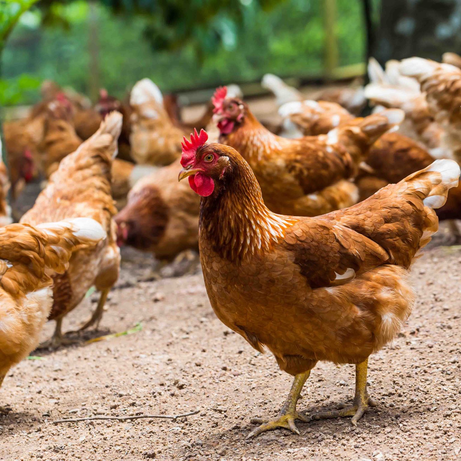 ELEVATE HER UGANDA – OFFICIAL WEBSITE